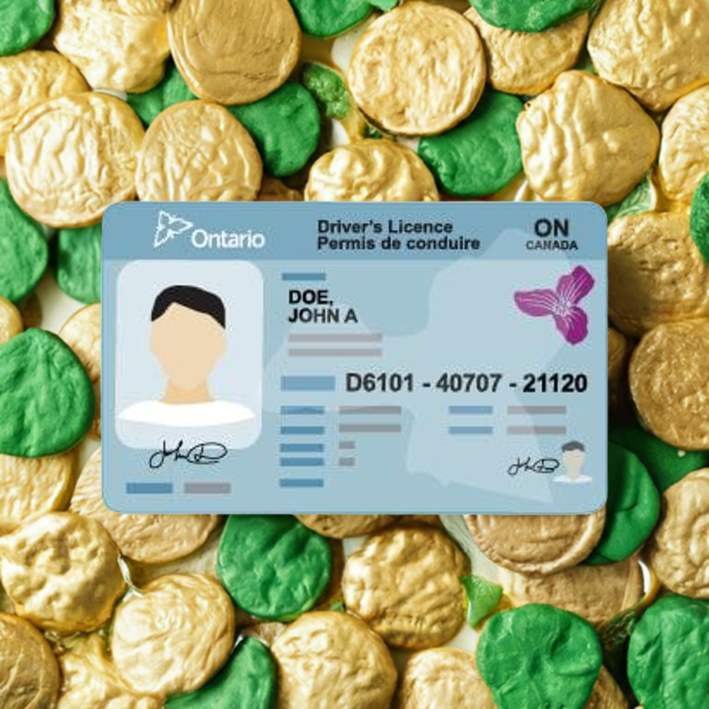 buy a G2 driver’s license without theory exam